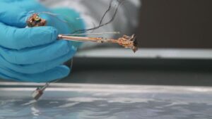 Bechtel wins the contract to provide project management consultancy ...