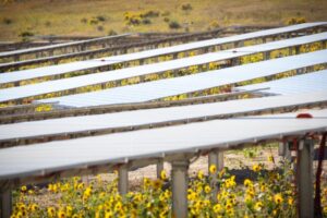 Bechtel Selected to Deliver Escape Solar Project - Bechtel